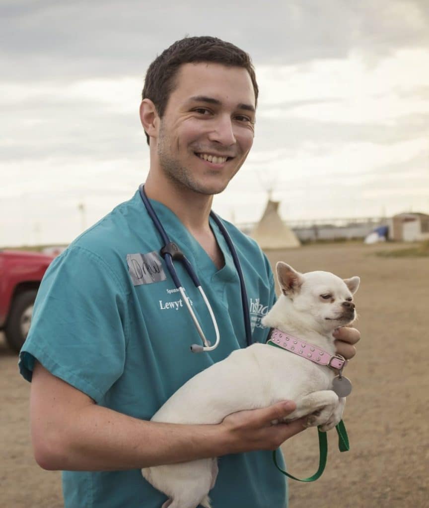 About Golden Gate Veterinary Specialists Of The SF Bay Area